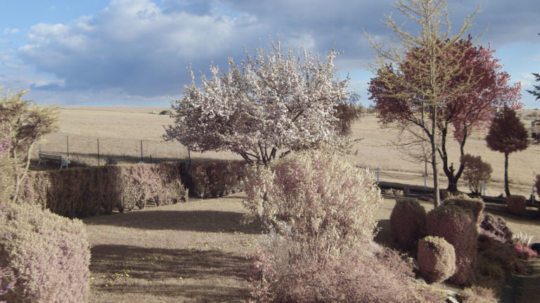 Le "Full Spectrum" - PHOTOGRAPHIE INFRAROUGE