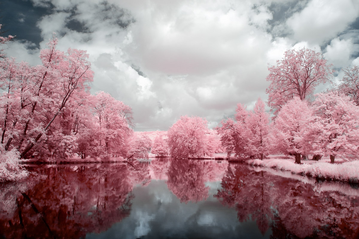 Galerie - PHOTOGRAPHIE INFRAROUGE